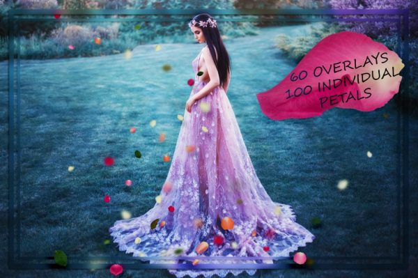 9000+ Photo Overlays And Design Elements - Graphimarket