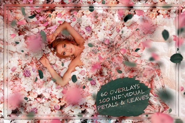 9000+ Photo Overlays And Design Elements - Graphimarket