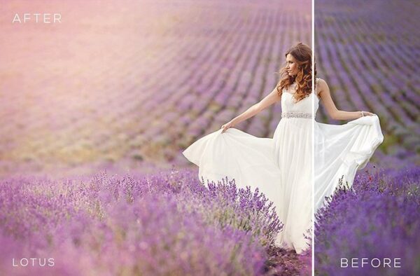 The Advantages of Using Photoshop Overlays - Graphimarket