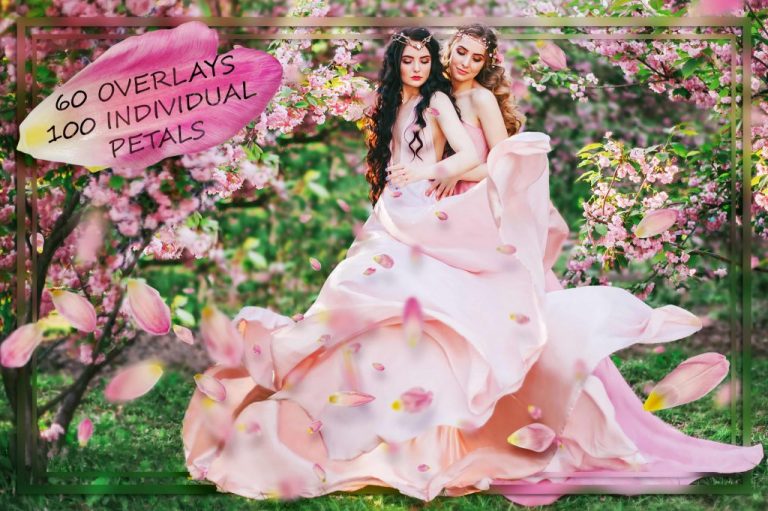 9000+ Photo Overlays And Design Elements - Graphimarket