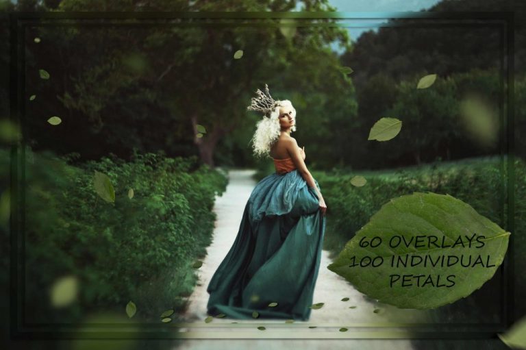 9000+ Photo Overlays And Design Elements - Graphimarket