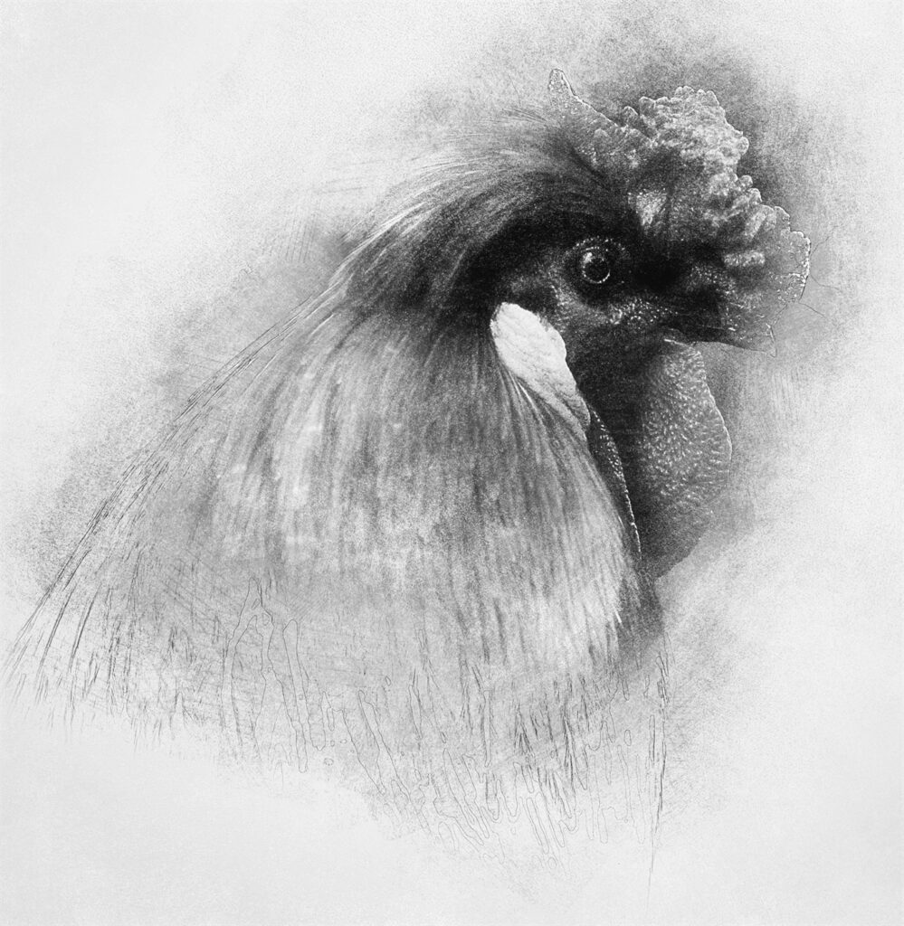 Sketch Photoshop Action (With 3D Pop Out Effect) - Graphimarket